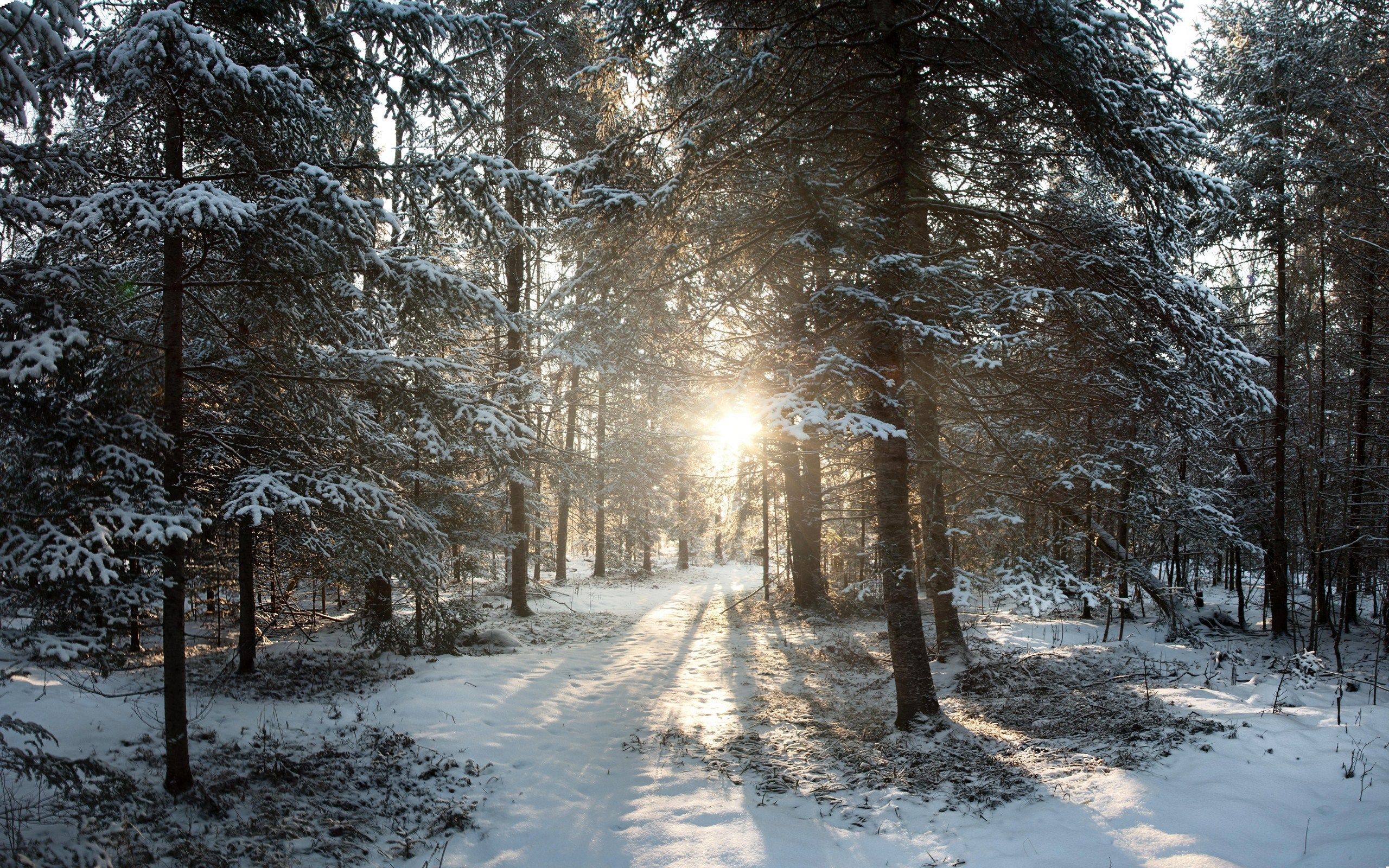 PREDICTING WINTER WEATHER - All Northwoods